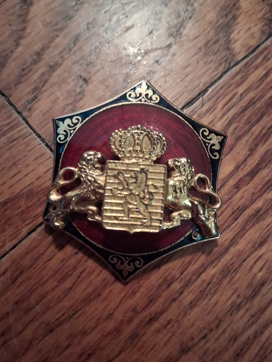 The Unbranded Brand | Jewelry | Vintage Red And Gold Tone Lion Coat Of ...